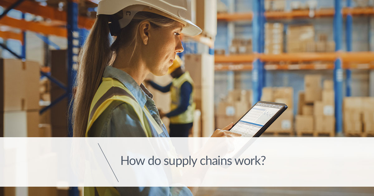 How do supply chains work?